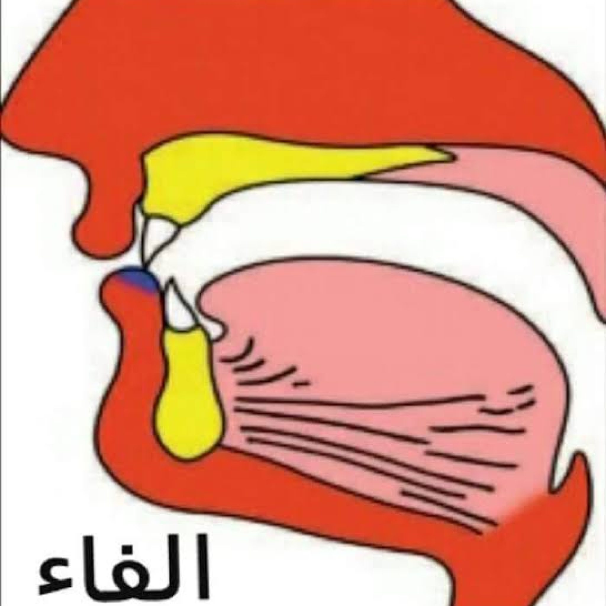 Sifaat Al- Huroof What is the meaning of Sifaat? Tajweed Rules ...