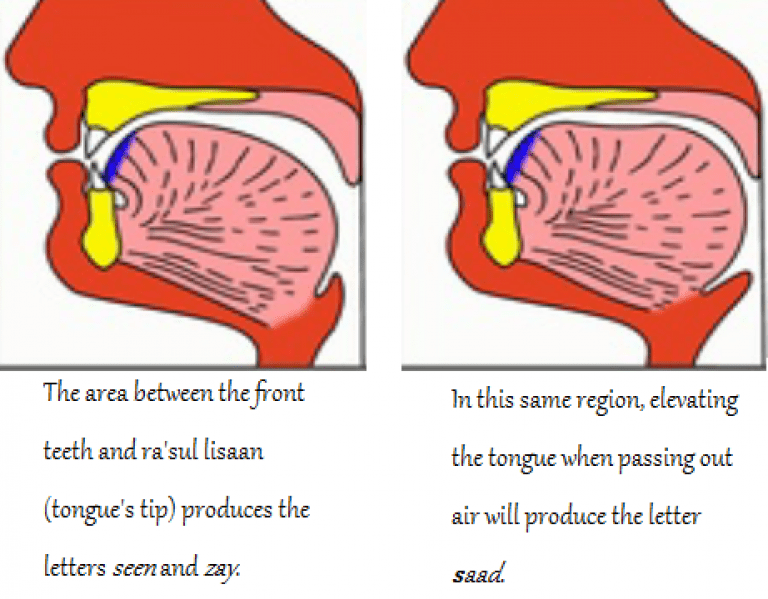 Makhaarij Al-Huroof What Is The Meaning Of Makhaarij? Tajweed Rules ...