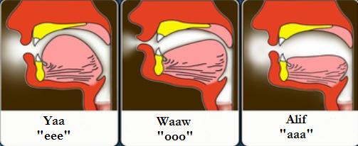 Makhaarij Al-Huroof What Is The Meaning Of Makhaarij? Tajweed Rules ...