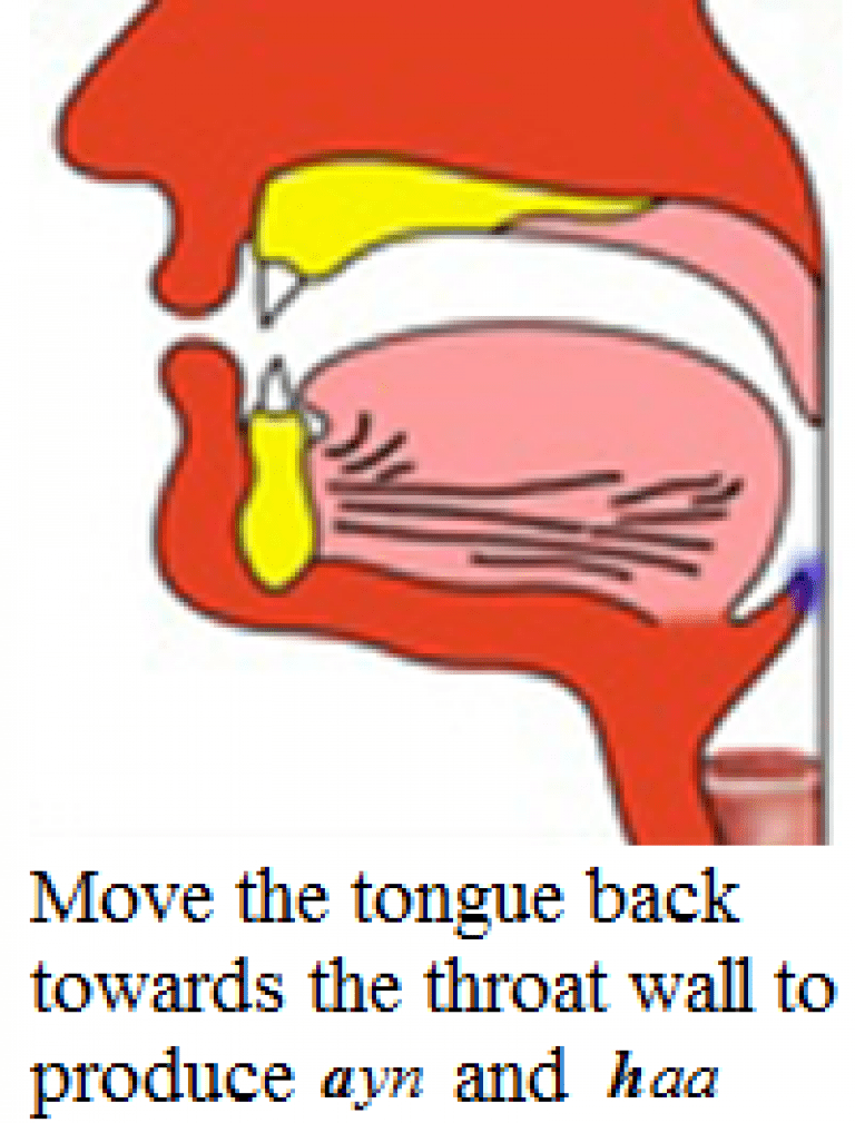 Makhaarij Al-Huroof What Is The Meaning Of Makhaarij? Tajweed Rules ...