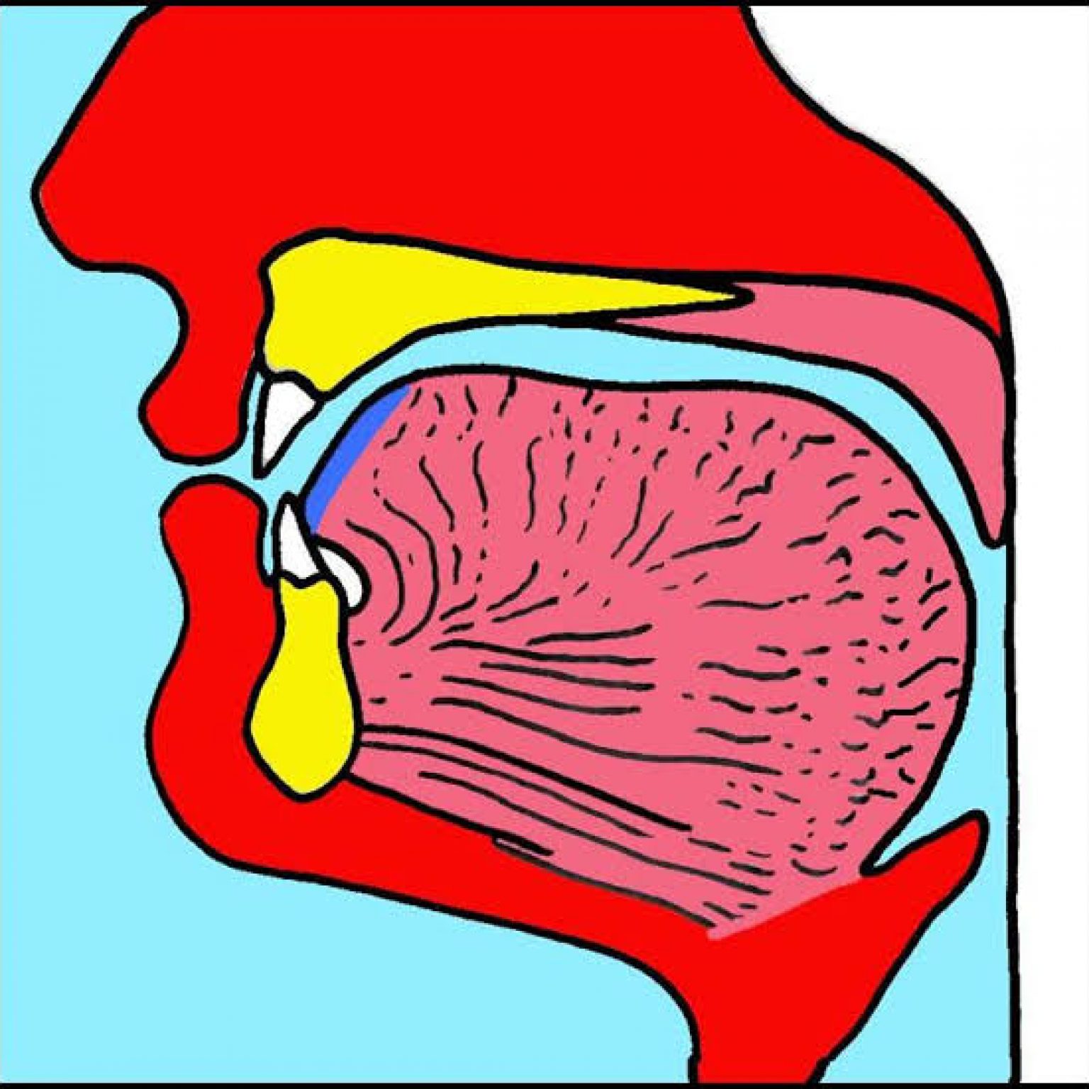 Sifaat Al- Huroof What is the meaning of Sifaat? Tajweed Rules ...