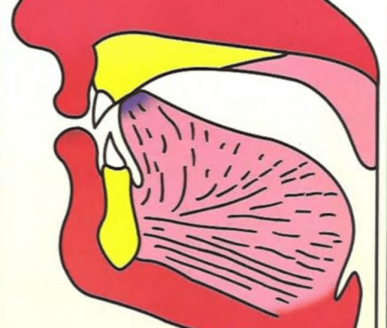 Sifaat Al- Huroof What is the meaning of Sifaat? Tajweed Rules ...