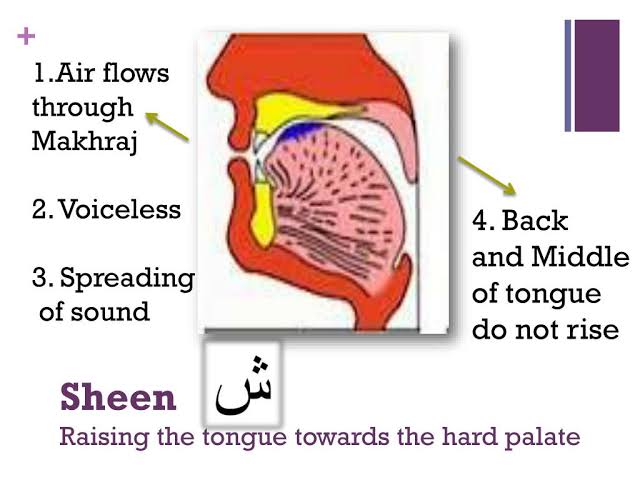 Sifaat Al- Huroof What is the meaning of Sifaat? Tajweed Rules ...