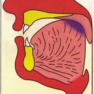 Sifaat Al- Huroof What is the meaning of Sifaat? Tajweed Rules ...